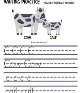 Beach and Ocean Themed Learning Packet – Leap Into Learning