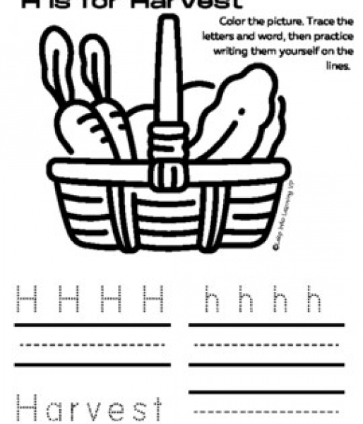 Five Senses Themed Learning Packet – Leap Into Learning