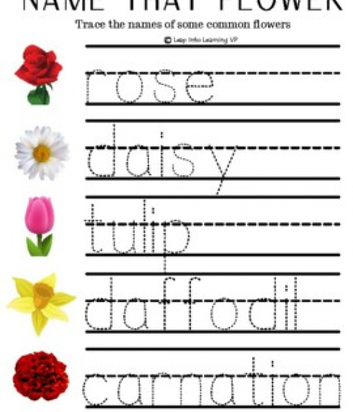 Farm Animals Themed Learning Packet – Leap Into Learning