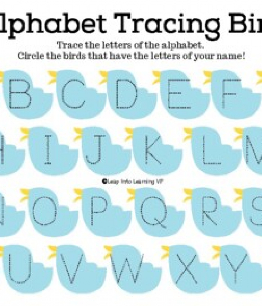 Apples Themed Learning Packet – Leap Into Learning